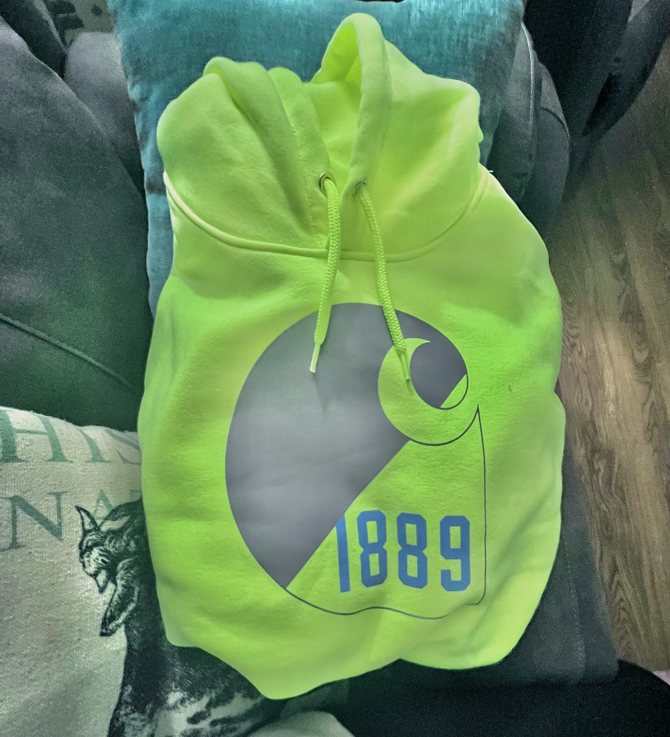 11 Unisex Billie Eilish Concert Outfit Ideas & Inspo - Outfit Binge